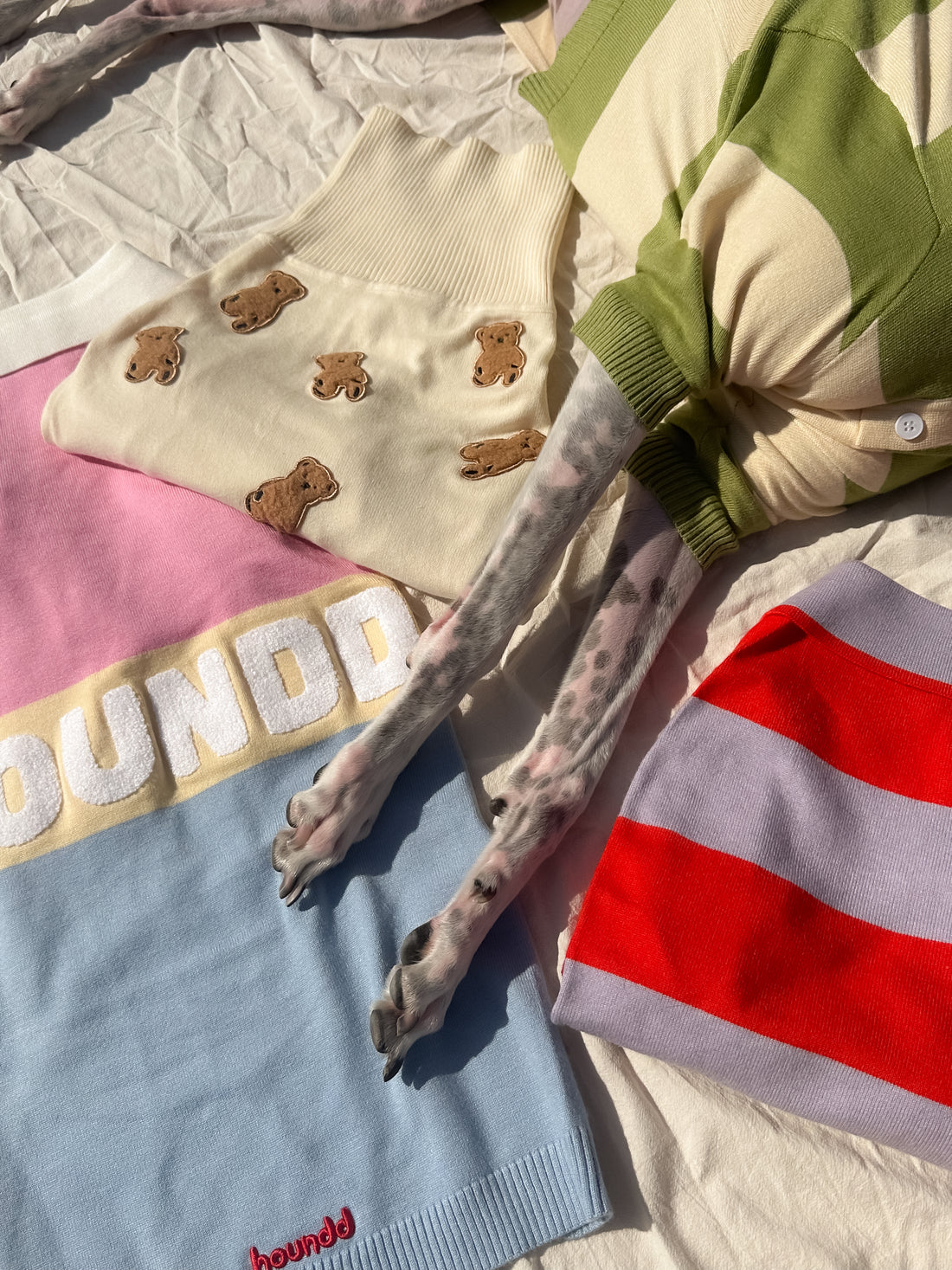 Houndd Co | Collars, Clothes & Treats for Greyhounds, Whippets & Iggys