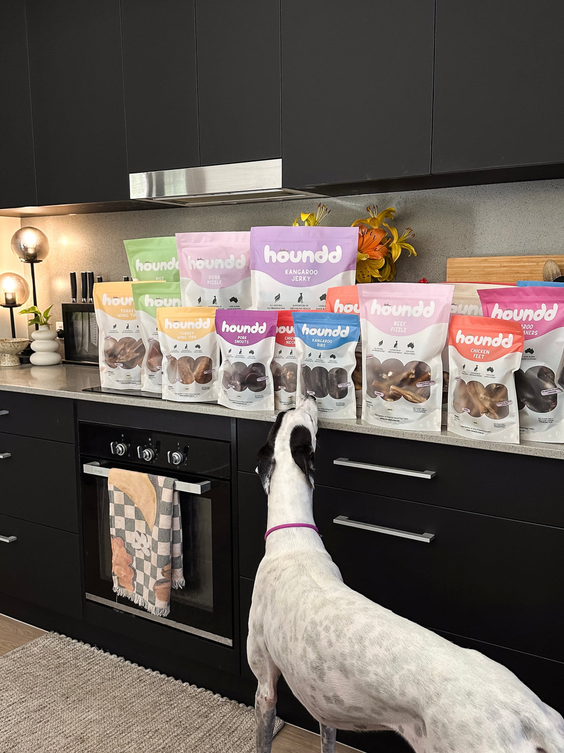 Houndd Co | Collars, Clothes & Treats for Greyhounds, Whippets & Iggys