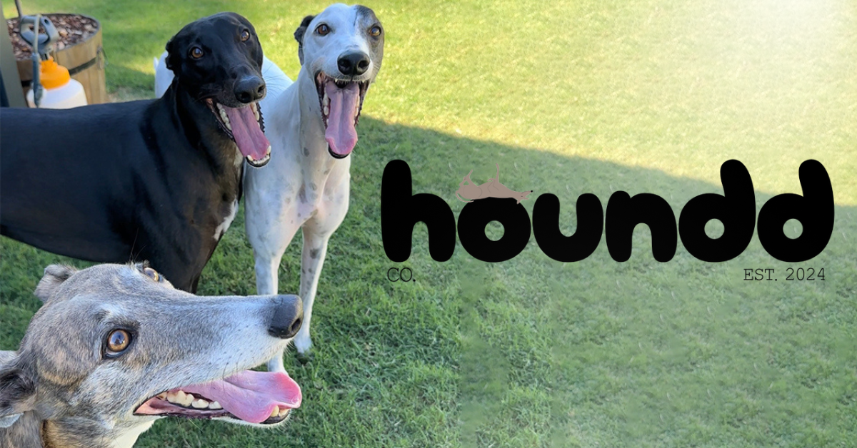 Houndd Co | Your dog's favourite place to shop!