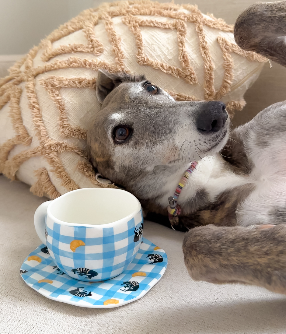 Houndd Co | Collars, Clothes & Treats for Greyhounds, Whippets & Iggys
