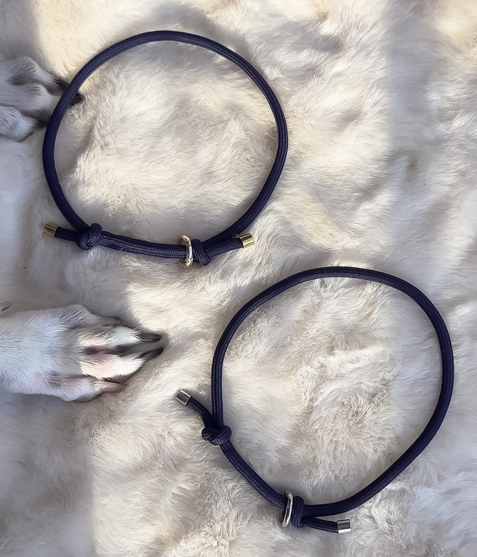 House Collars | Houndd Co. Australia